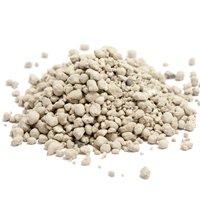 Clay cat litter - CatTime