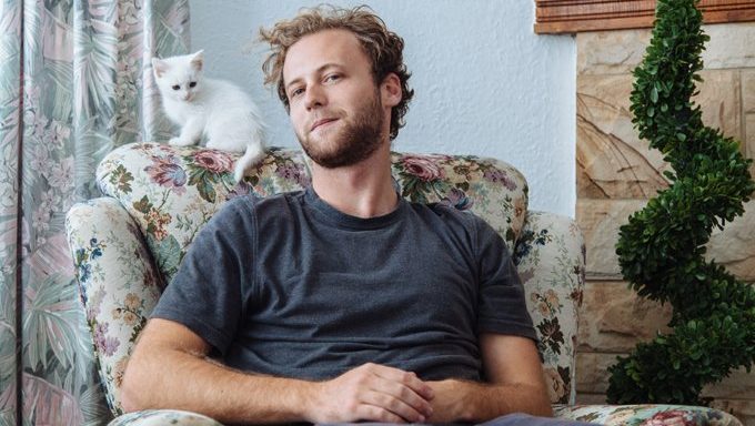 Things to Consider When Fostering An Adoptable Cat Or Kitten