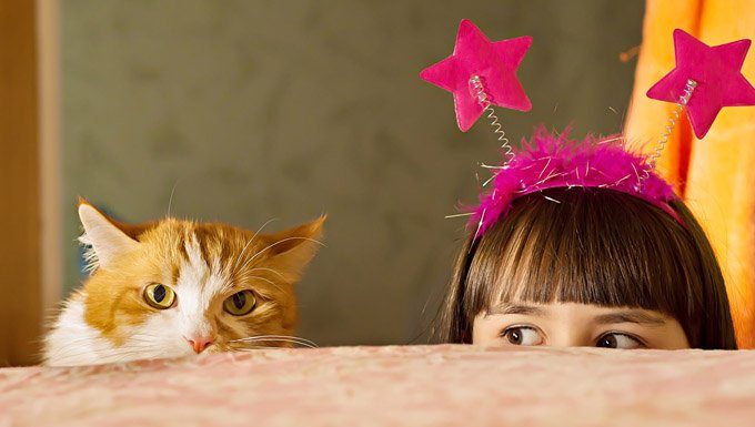 Cats & Kids: Tips For Keeping Both Safe Around Each Other - CatTime