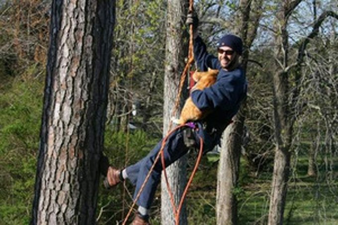 Cat Spends A Week In 50-Foot Tree - CatTime