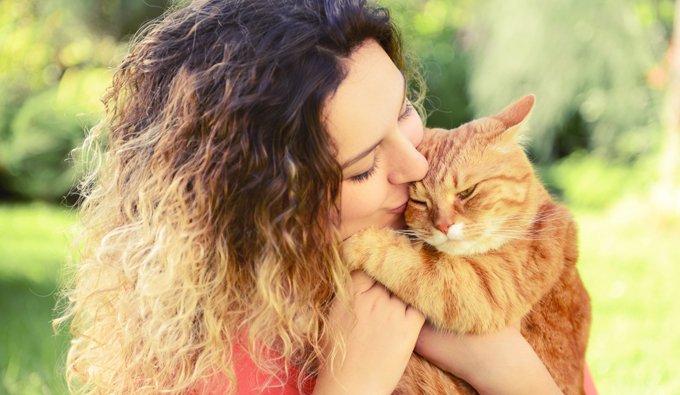 Get Involved During Be Kind To Animals Week - CatTime