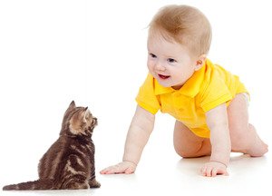 Kid-Friendly - CatTime