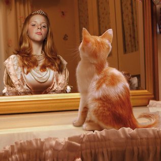 10 attention-getting cat print ads - CatTime