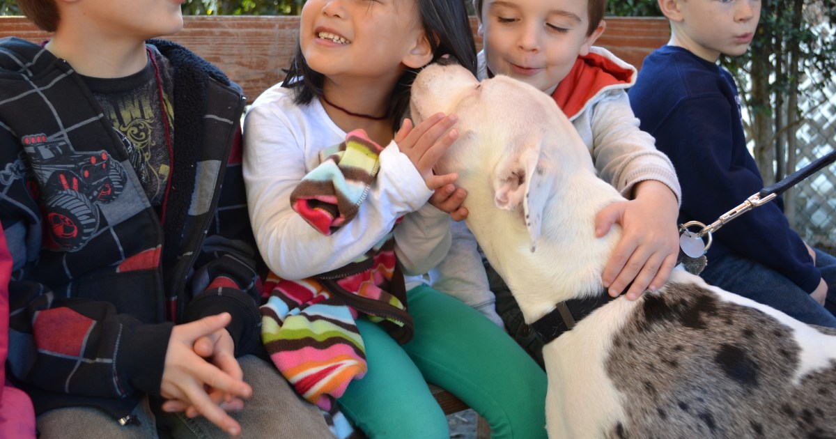 Helen Woodward Animal Center's First Friends program - CatTime