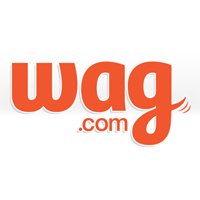 Review: Wag - CatTime