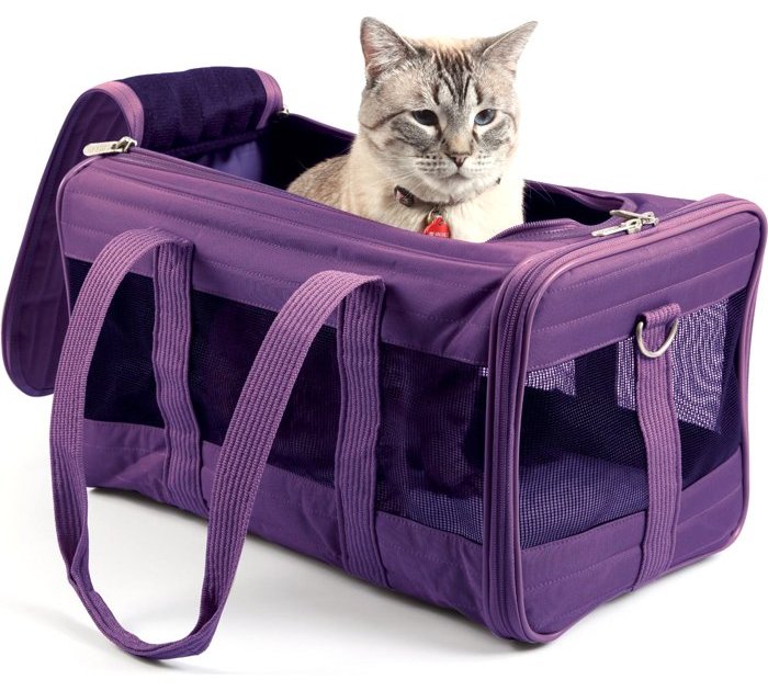 Cat Accessory Gifts - CatTime