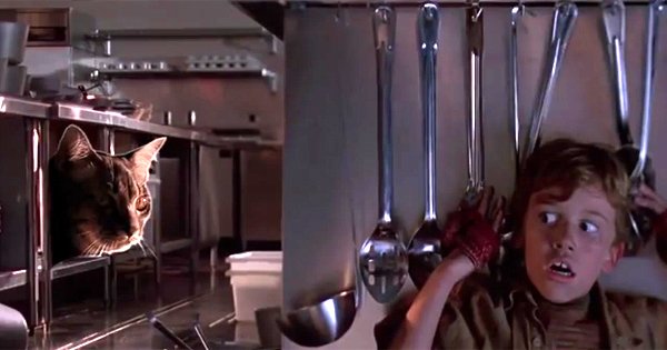 Cats invade Jurassic Park - CatTime