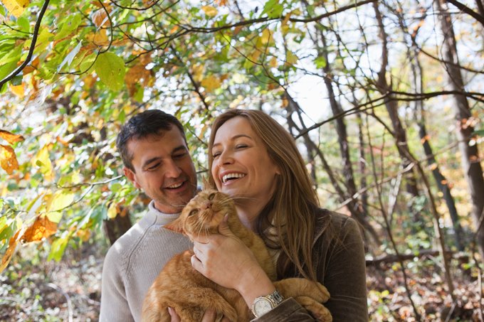 Joint Custody Of The Family Pet? - CatTime