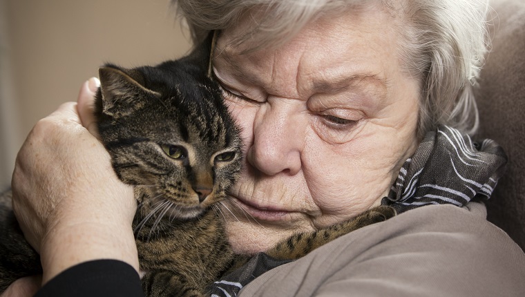 Anticipatory Grief The Beginning Of Your Journey When A Beloved Pet Is