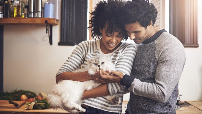 8 Great Dating Tips For Cat Lovers Looking For Romance - CatTime