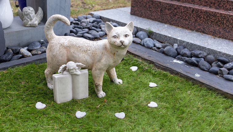 Dealing With The Loss Of Your Cat - CatTime