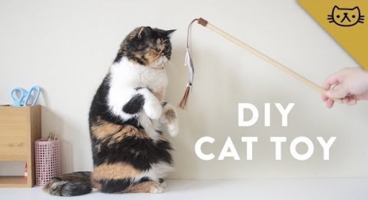 DIY Cat Toys: 3 Fun Projects You Can Make In A Day - CatTime