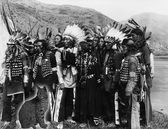 Did A Native American Have a Bobcat As A Pet? - CatTime