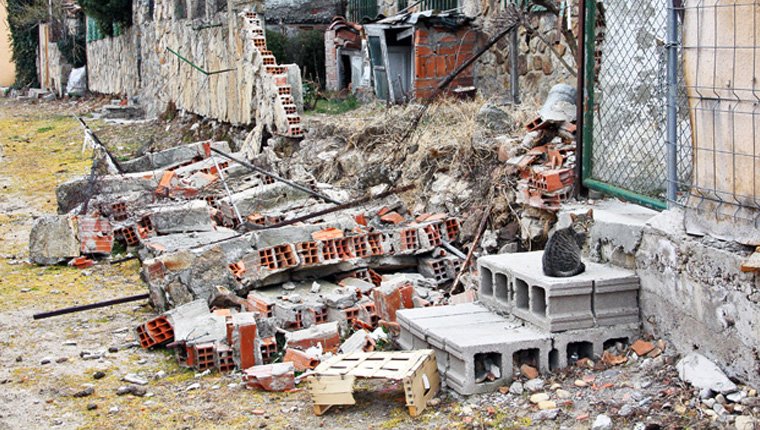 National Disaster Preparedness Month: Prepare Your Cat & Your Home For ...