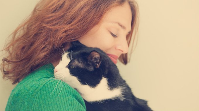 What Does Being A Cat Lover Say About You? - CatTime