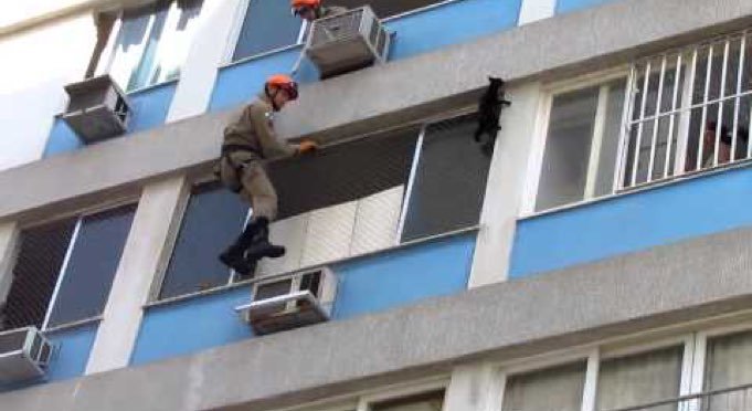 Cat Survives Fall From Building During Weird Rescue Attempt [VIDEO ...