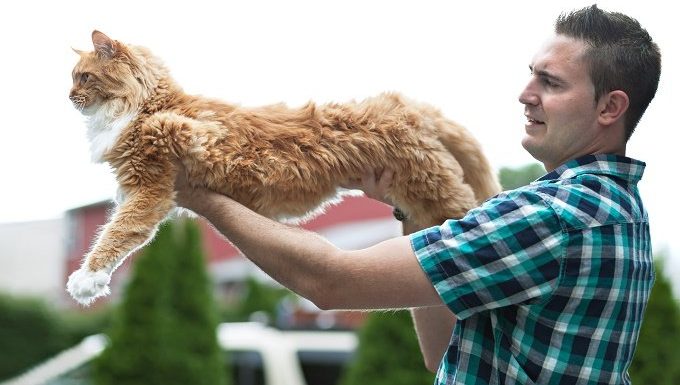 Meet The Cats Of 5 High-Powered World Leaders From History - CatTime