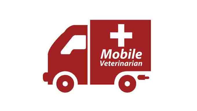 Top 5 Benefits Of Choosing A Mobile Veterinarian - CatTime