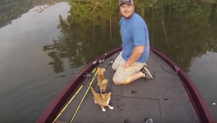 Fishermen Land The Cutest Catch Of The Day: Two Kittens - CatTime