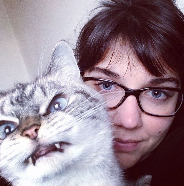 Have You Met Loki The Vampire Cat? - CatTime