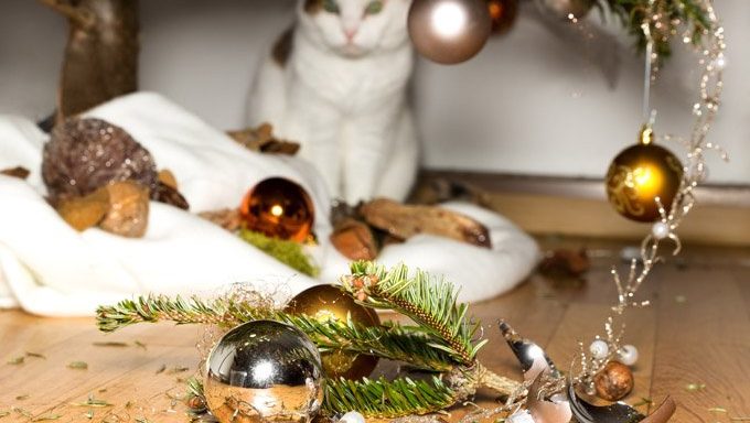 4 Creative Ways To Cat Proof Your Christmas Tree - CatTime