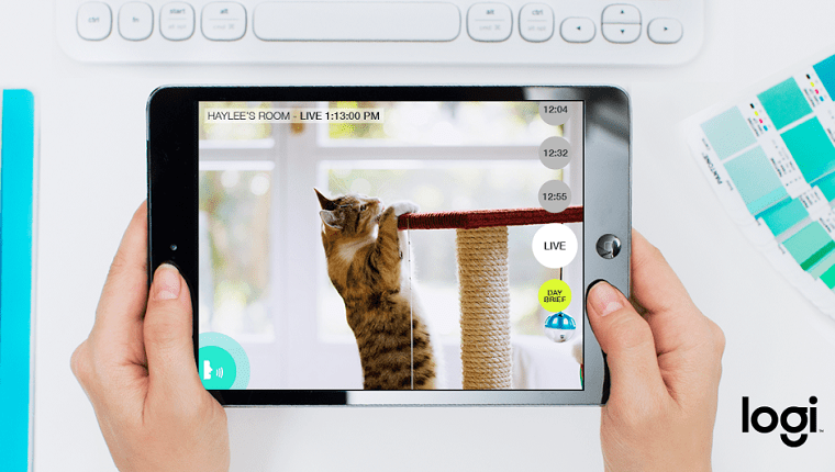 5 Best Video Monitoring Systems To Watch Your Cat When You Travel - CatTime