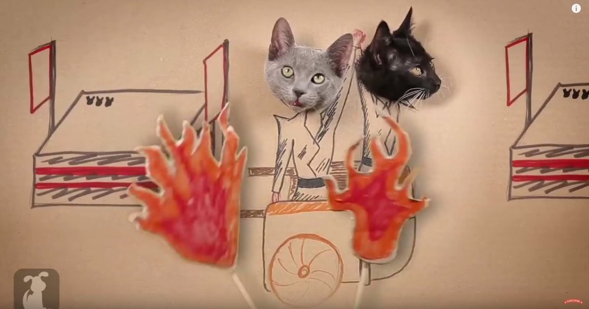 WATCH "The Hunger Games" (As Told By Cats) - CatTime