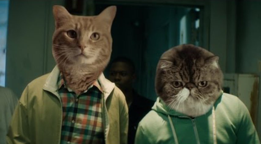 Key & Peele's Keanu Movie Trailer Made Better With Cats [VIDEO] - CatTime