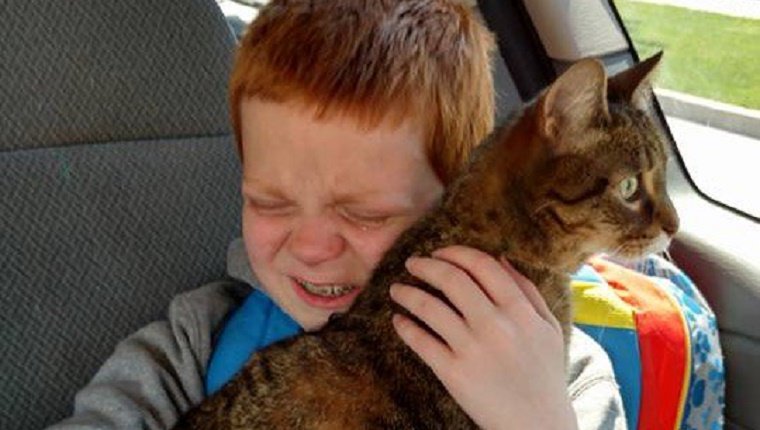 Global Search Effort Reunites Refugee Family With Their Lost Cat After ...