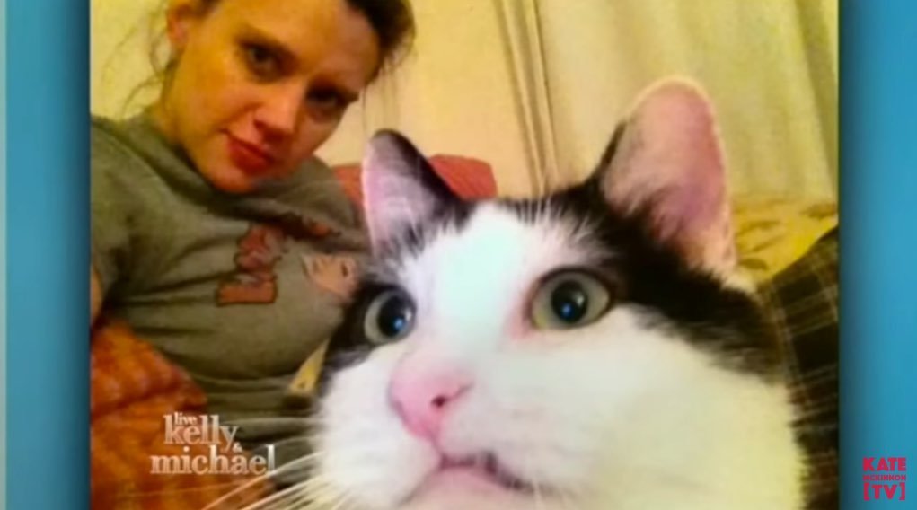 Kate McKinnon Loves Her Cat More Than Some Parents Love Their Children ...