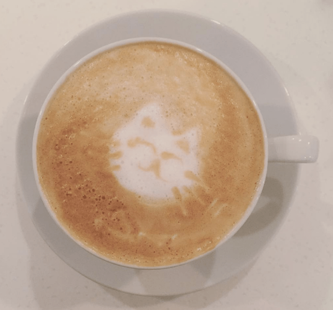 9 Reasons You'll Love The Kawaii Kitty Cafe - CatTime