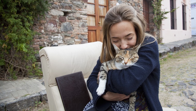 October 29th Is National Cat Day! Here's What You Should Know - CatTime