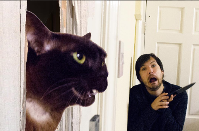 UK Couple Recreate Iconic Movie Scenes Using Their Cats And It's ...