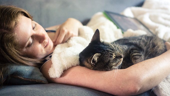 National Cuddle Up Day: Cuddle Your Kitty On January 6th! - CatTime