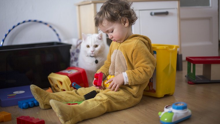 7 Ways Kids Can Bond With Their Cats This Summer - CatTime