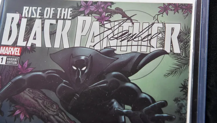National Comic Book Day: 9 Best Feline-Themed Comic Book Characters ...