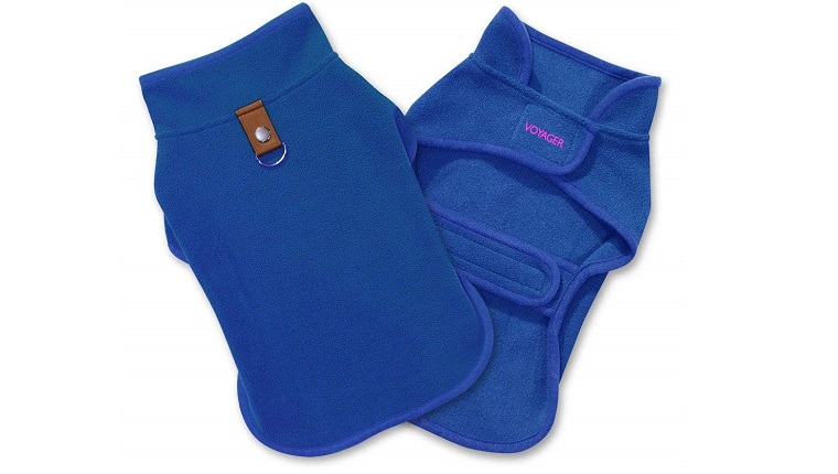 8 Things Every Cat Owner Needs To Get Through The Winter - CatTime