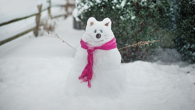Snowcats: Cat-Snowman Inspiration For Feline Lovers [PICTURES] - CatTime