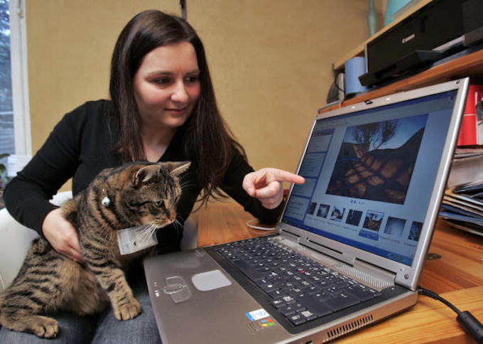 What Does Putting Your Cat On Social Media Say About You As A Pet ...