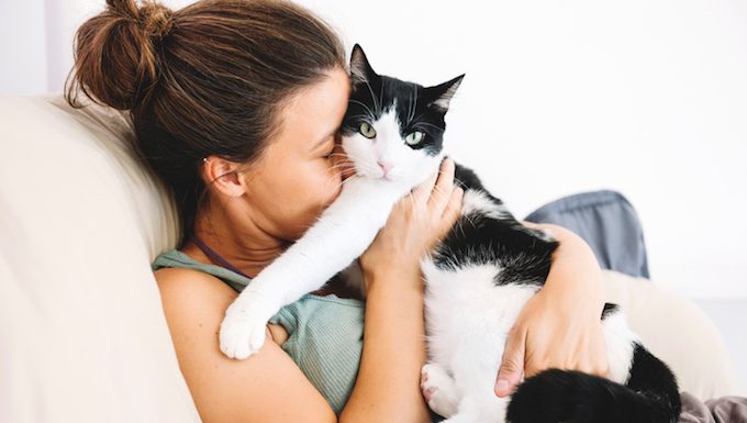 Here's How To Have A Successful Hug Your Cat Day On June 4th - CatTime