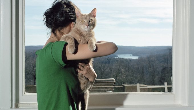 Here's How To Have A Successful Hug Your Cat Day On June 4th - CatTime