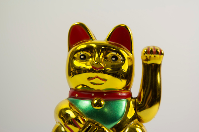Fun Cat Facts For The 2018 FIFA World Cup - CatTime