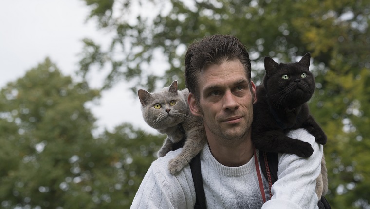 Celebrate Father's Day With 11 Celebrity Cat Dads & Their Kitties ...