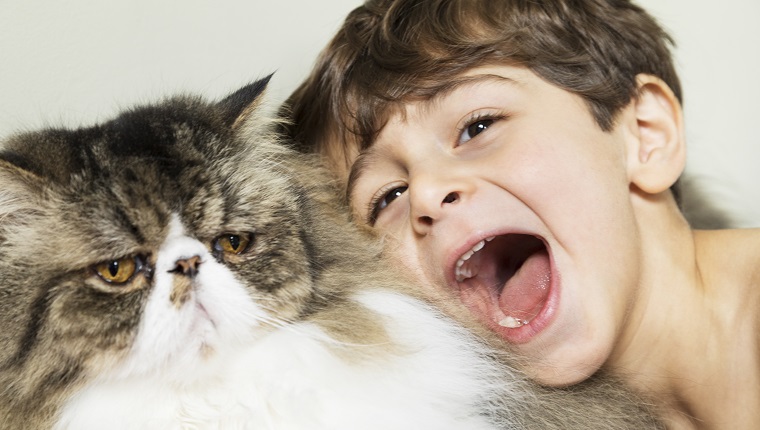 10 Things Cat Parents Think But Don't Say To Parents Of Children - CatTime