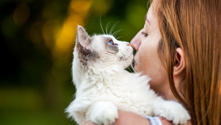 6 Ways To Connect With Your Cat On A Deeper Level - CatTime