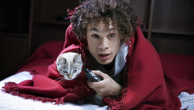 5 Streaming Cat Shows And Movies To Binge Watch Now - CatTime