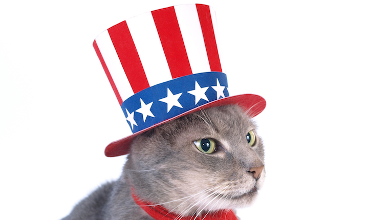 White House Felines: The Complete List Of United States Presidents ...