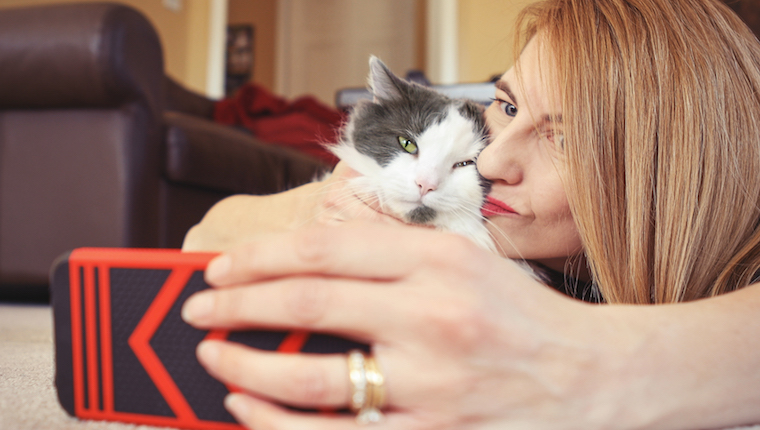 Cat Photos: How To Take The Best Pictures Of Your Feline - CatTime