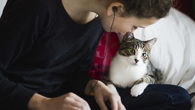 5 Of The Best Paw-some Podcasts For Cat Lovers - CatTime