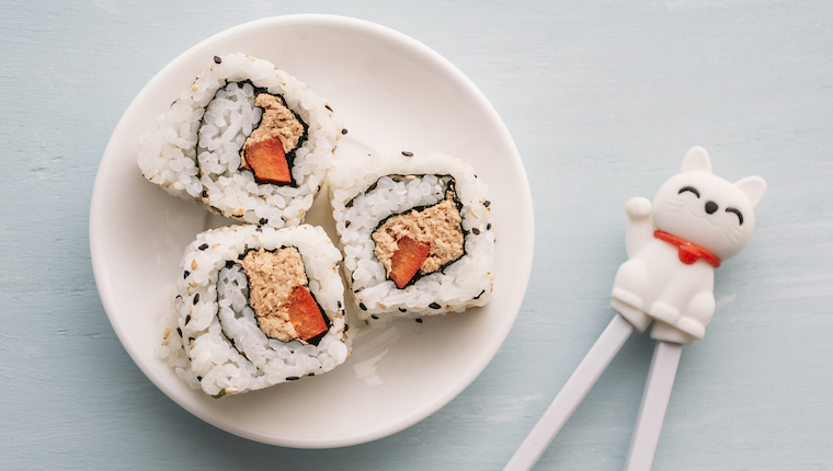 International Sushi Day: 'Can I Feed My Cat Sushi?' Best Not! - CatTime